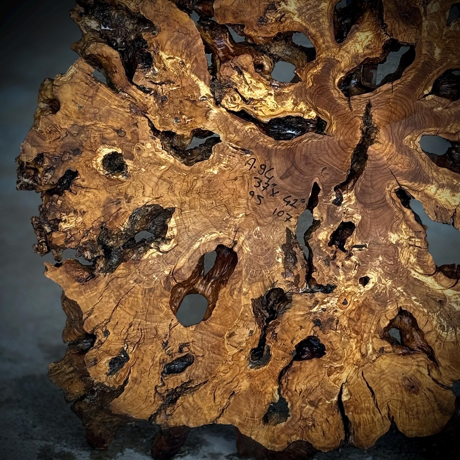 Large Olive Root Burl Slice – Kiln Dried Live Edge Slab for Epoxy ...