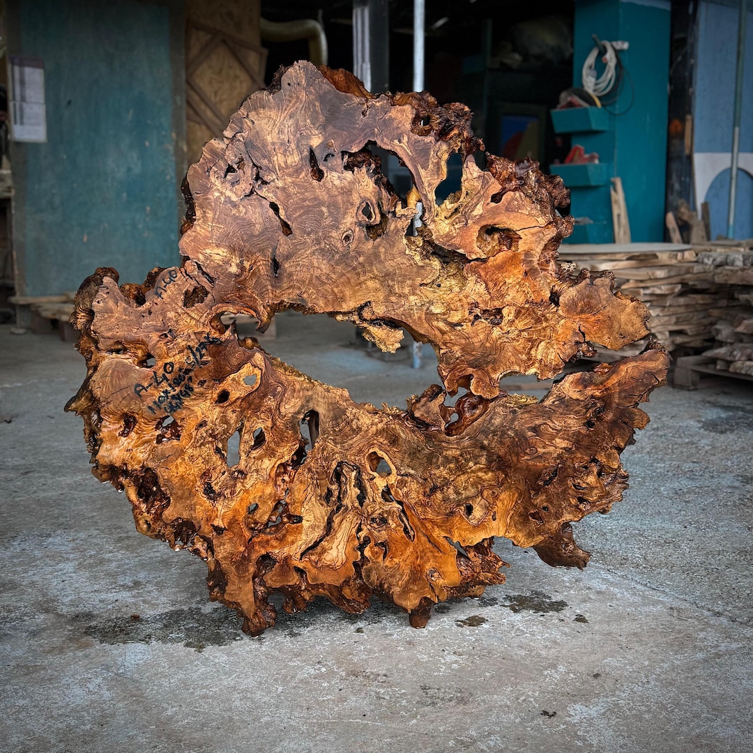 Turkish Olive Root Slice – Kiln Dried Live Edge Wood Slab for Epoxy ...