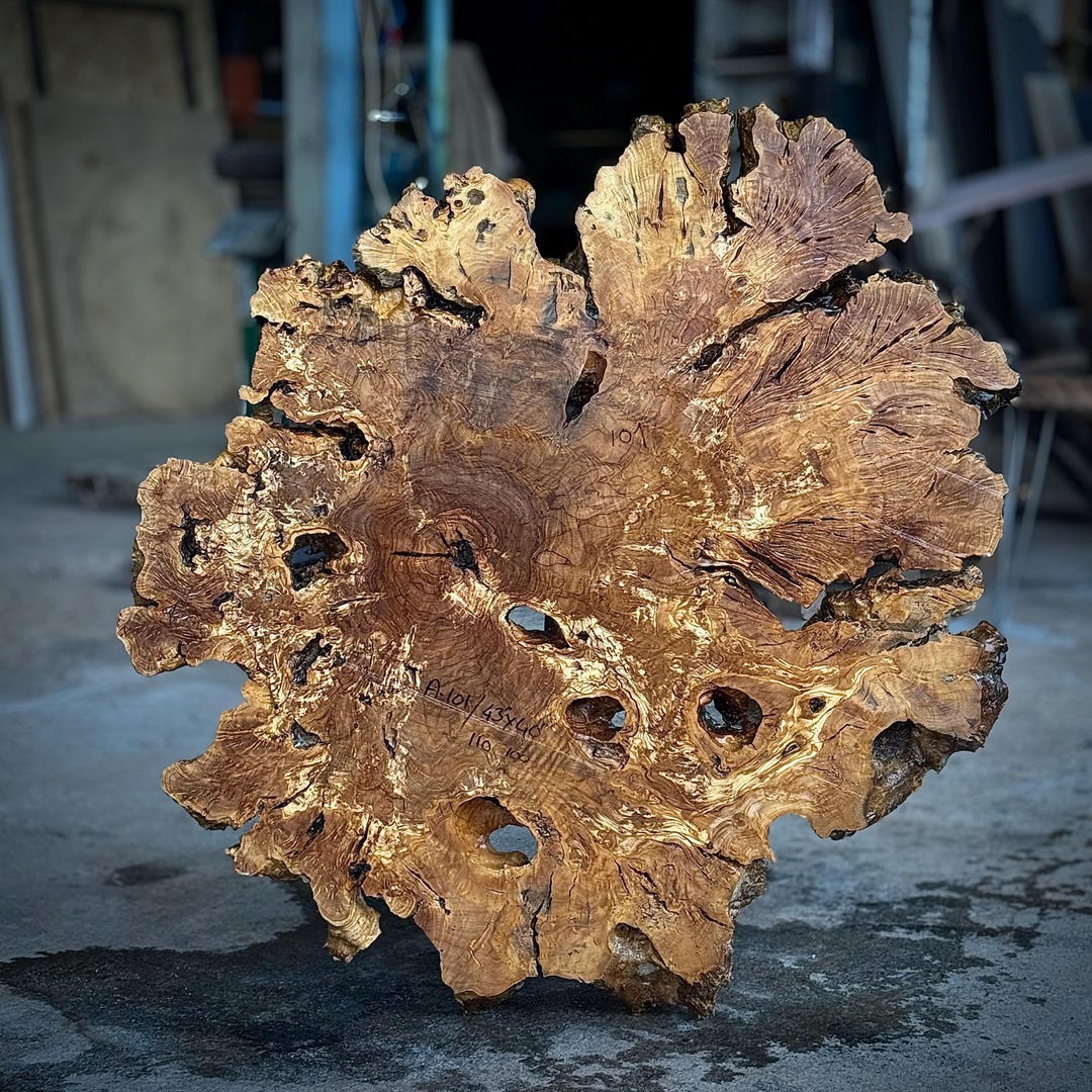 Olive Root Live Edge Slab Large Slice Ancient Turkish Olive Tree - Etsy