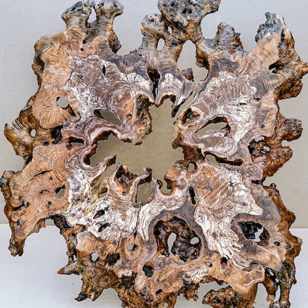 Burl Root - Etsy