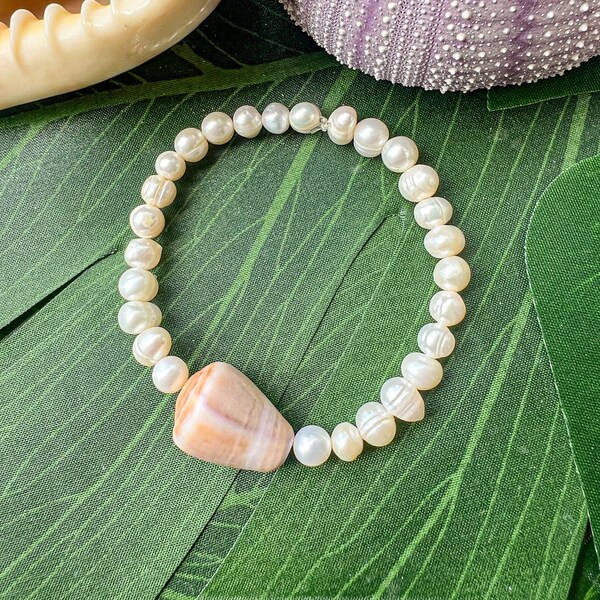 Hawaiian Cone Shell - Etsy