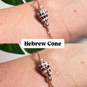 Seashell Bracelet - Etsy