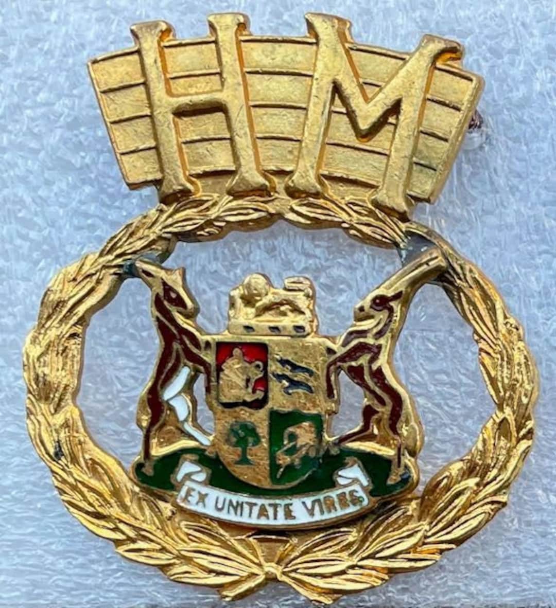 South Africa Police SAP Band Master Musician Badge - Etsy