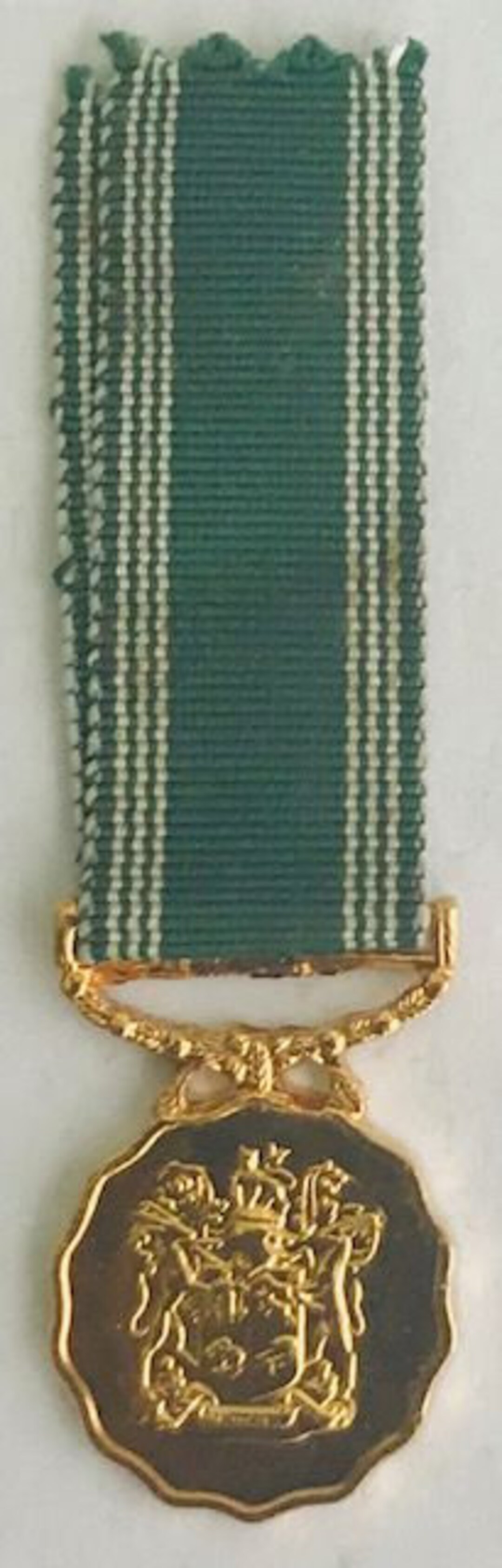 Südafrika SADF Good Service Medal Gold 30 Jahre Miniatur 2 - Etsy ...