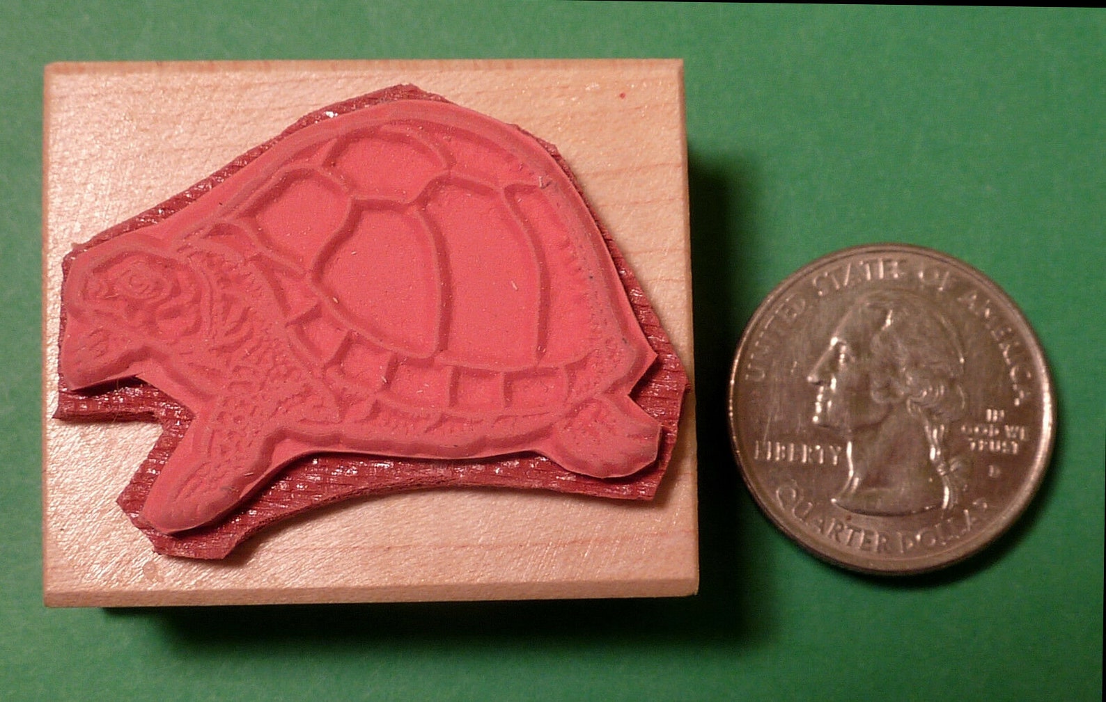 Box Turtle Rubber Stamp, Wood Mounted - Etsy