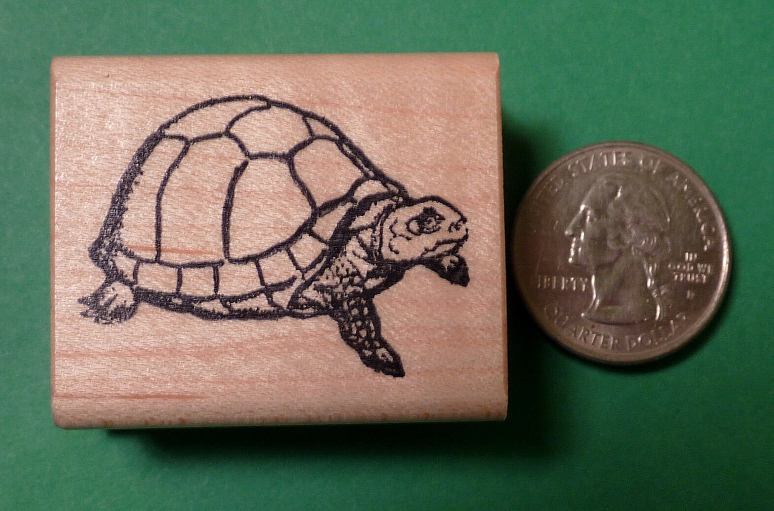 Box Turtle Rubber Stamp, Wood Mounted - Etsy