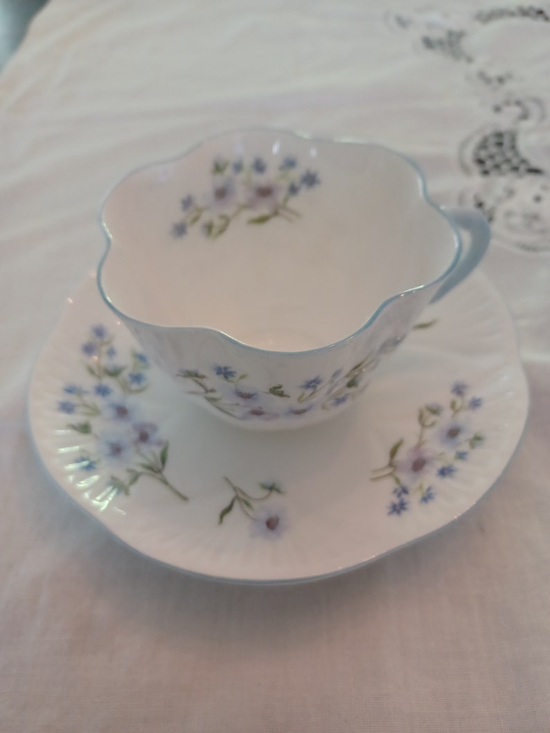 Blue Periwinkle Flowers on White, Blue Rock Pattern, Vintage, Pristine ...