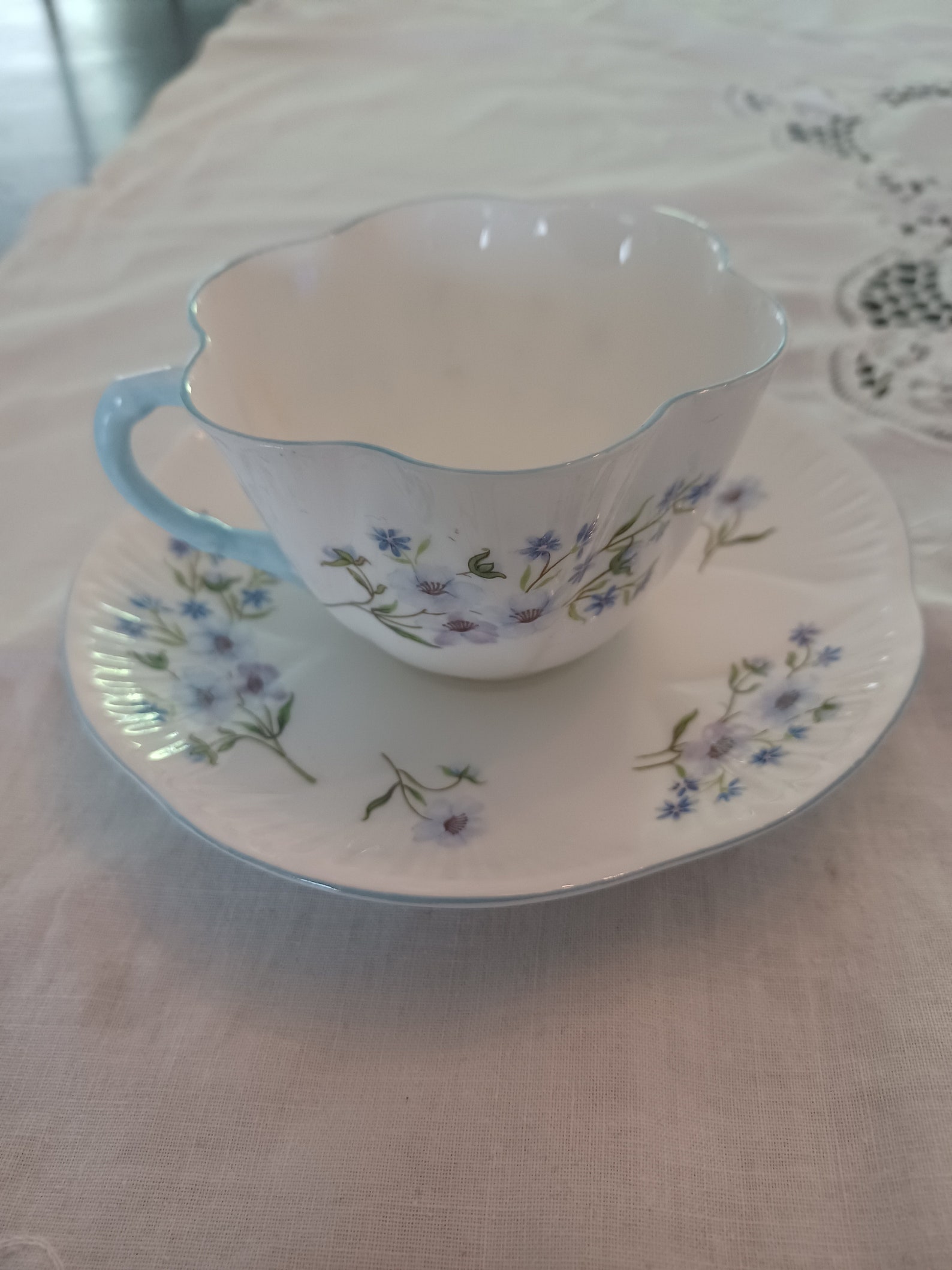 Blue Periwinkle Flowers on White, Blue Rock Pattern, Vintage, Pristine ...