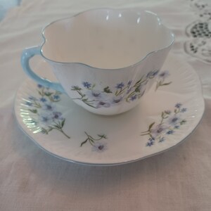 Blue Periwinkle Flowers on White, Blue Rock Pattern, Vintage, Pristine ...