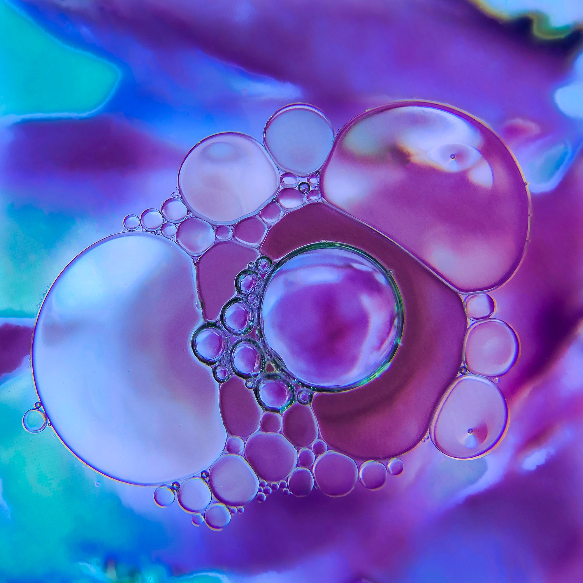 Metal Macro Print - Etsy