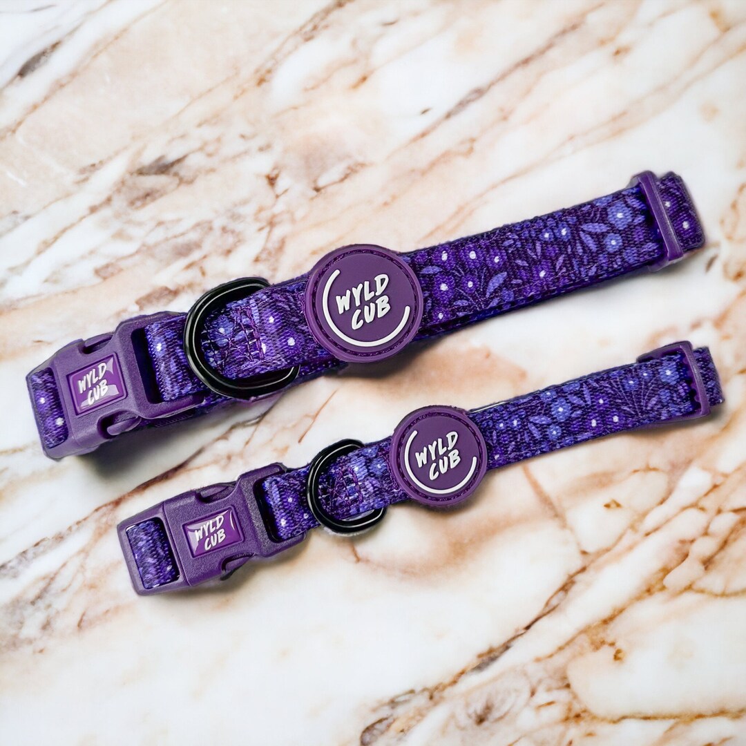Adjustable Dog Collar for Small Puppy to Large Dogs | Comfortable ...