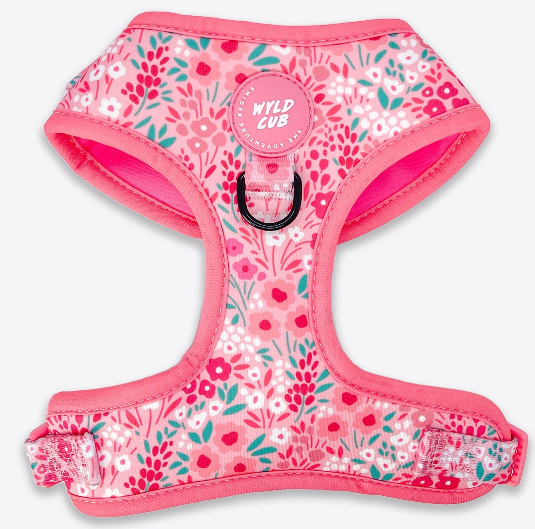 Adjustable Dog Harness for Extra Small Puppies to Large Dogs ...