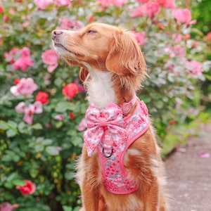 Adjustable Dog Harness for Extra Small Puppies to Large Dogs ...