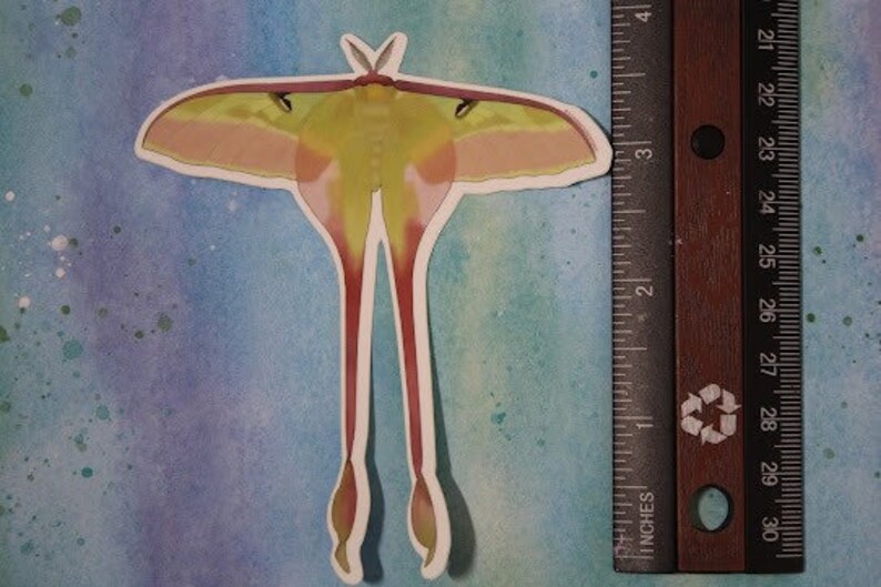 Luna the Moth Sticker - Etsy