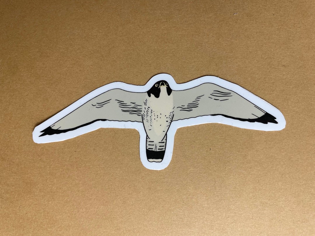 Peregrine Falcon in Flight Vinyl Sticker - Etsy