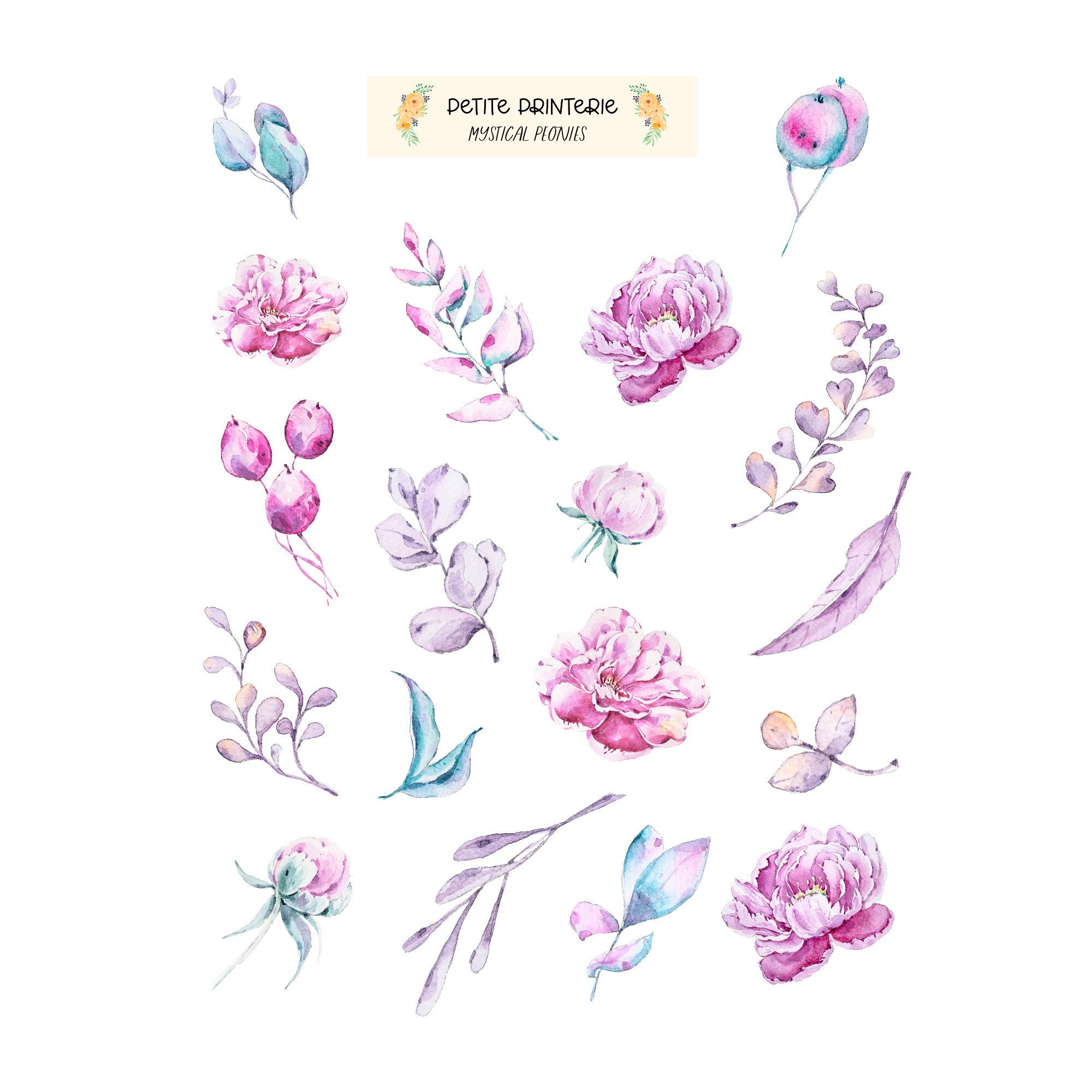 Peony Stickers, Floral Sticker Sheet, Flower Sticker Sheet, Planner ...