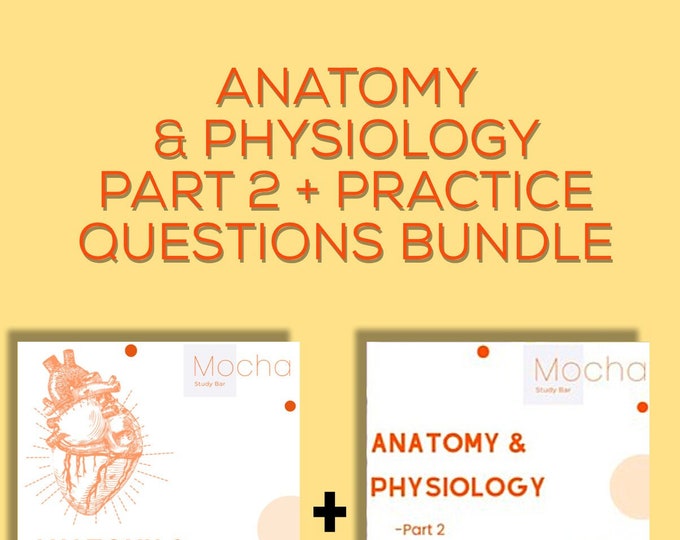 Bundle** Anatomy & Physiology Part 2 Study Kit With Practice Questions ...