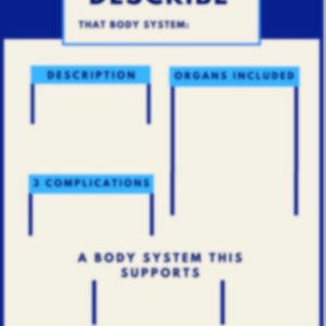 Bundle Anatomy & Physiology Part 2 Study Kit With Practice Questions ...