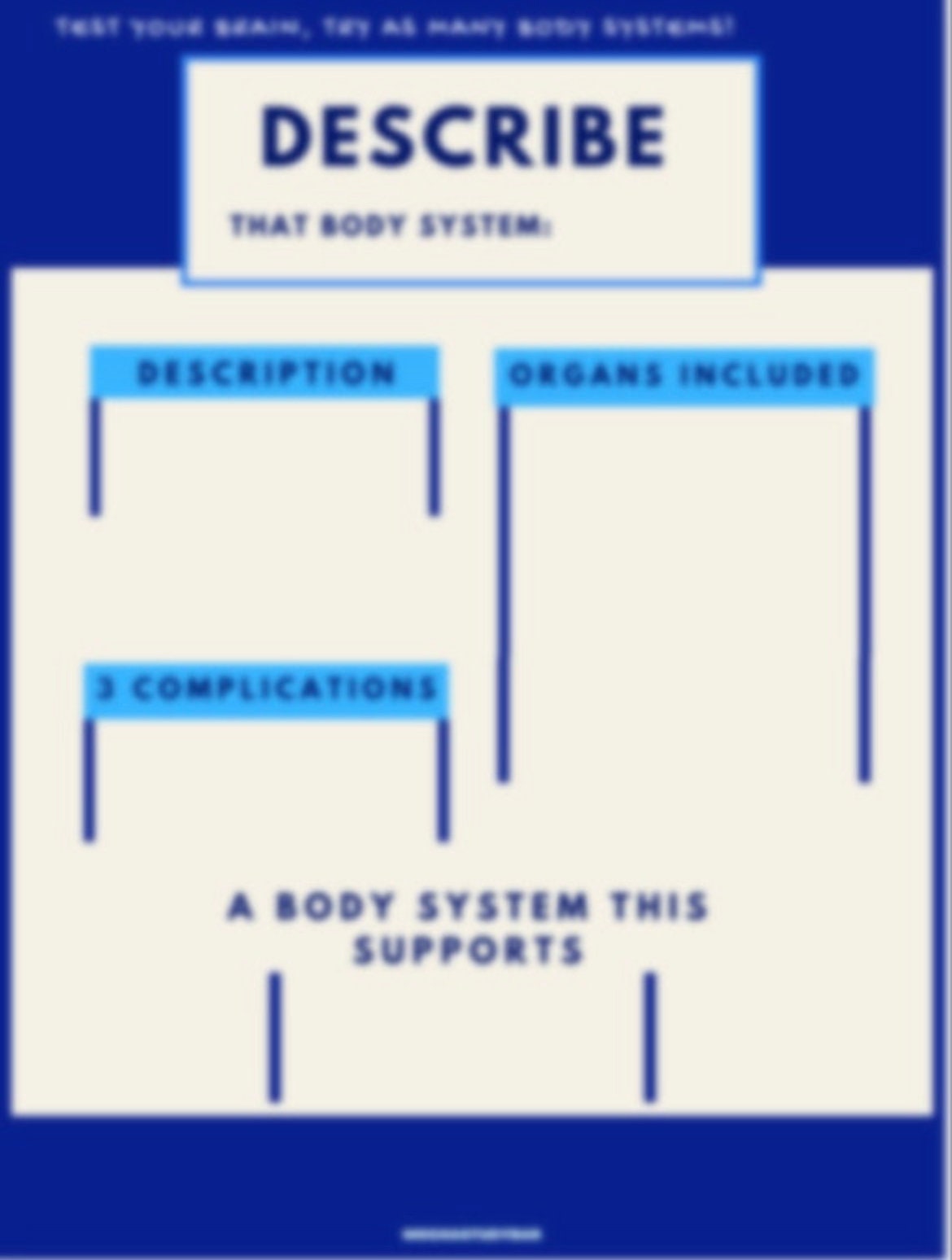 Bundle Anatomy & Physiology Part 2 Study Kit With Practice Questions ...