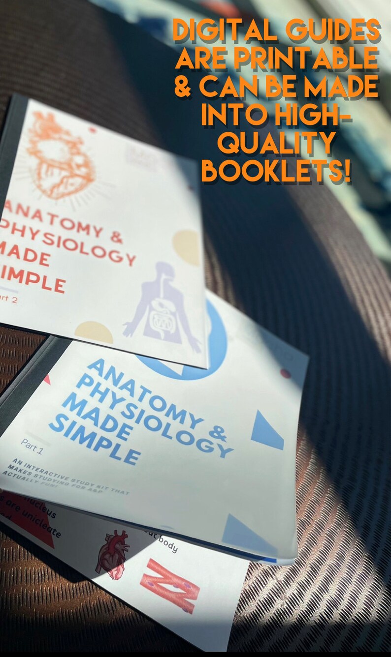 Bundle Anatomy & Physiology Part 1 and 2 Bundle - Etsy