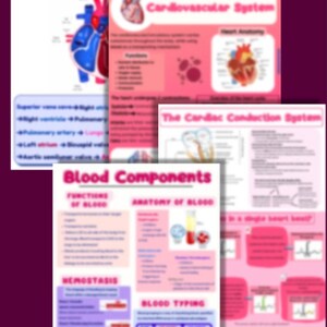 Bundle** Anatomy & Physiology Part 1 and 2 Bundle - Etsy