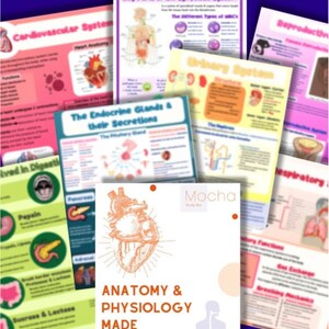 Bundle Anatomy & Physiology Part 2 Study Kit With Practice Questions ...