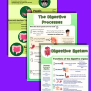 Bundle** Anatomy & Physiology Part 1 and 2 Bundle - Etsy