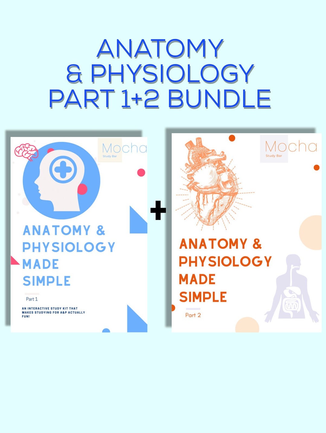 Bundle** Anatomy & Physiology Part 1 and 2 Bundle - Etsy
