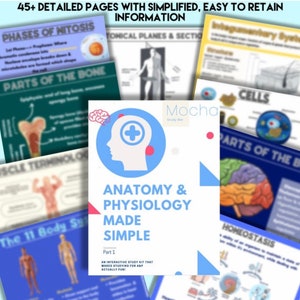 Bundle** Anatomy & Physiology Part 1 and 2 Bundle - Etsy