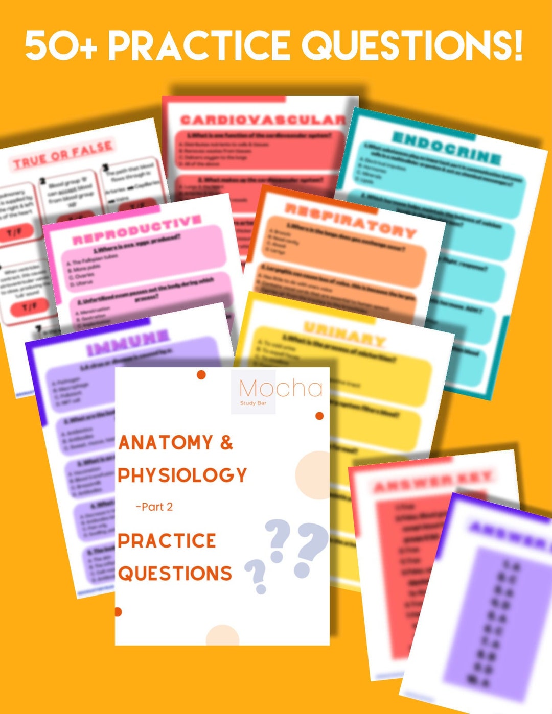 Practice Questions for Anatomy & Physiology Part 2 55 Questions - Etsy