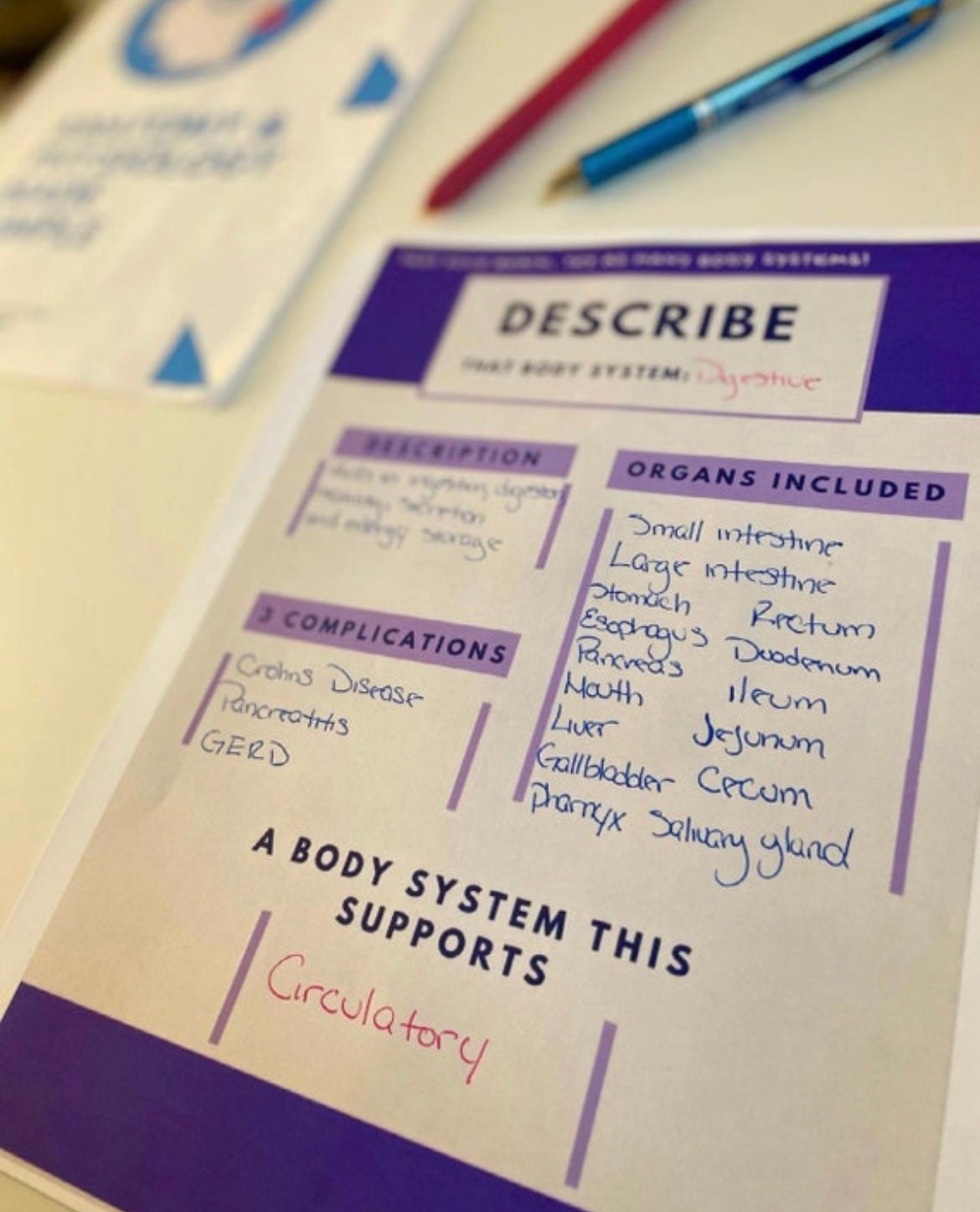 Bundle** Anatomy & Physiology Part 1 and 2 Bundle - Etsy