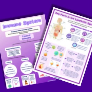 Bundle Anatomy & Physiology Part 2 Study Kit With Practice Questions ...