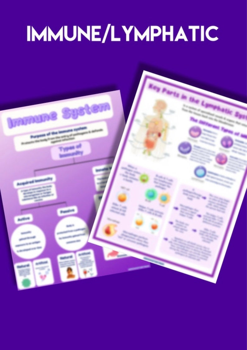 Bundle Anatomy Physiology Part 2 Study Kit With Practice Questions