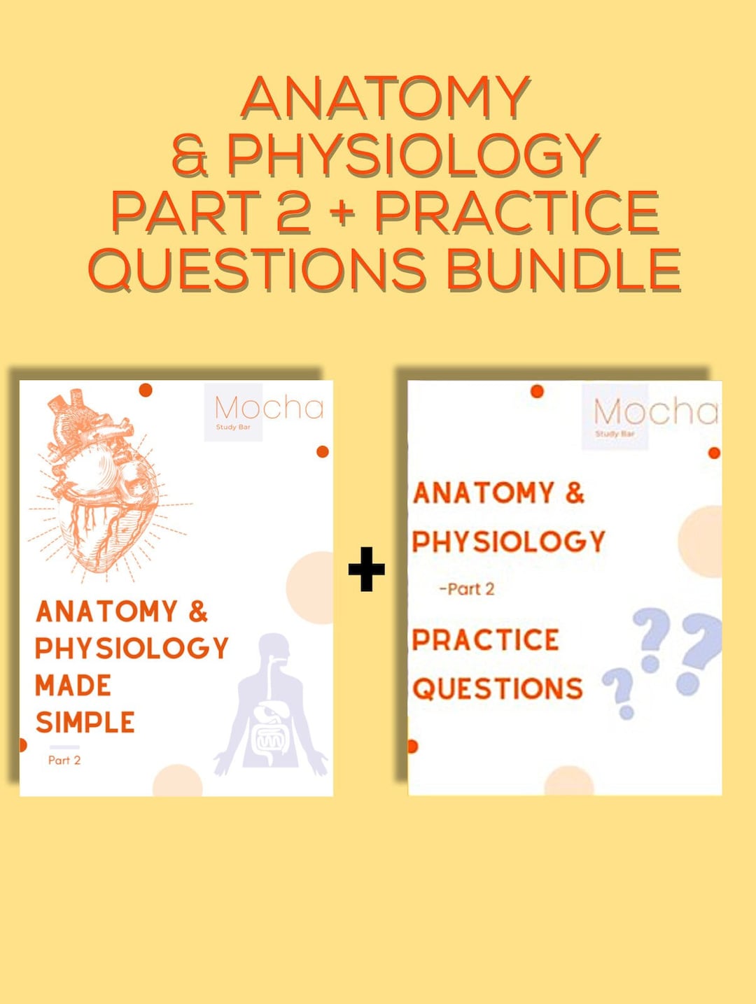 Bundle** Anatomy & Physiology Part 2 Study Kit With Practice Questions ...
