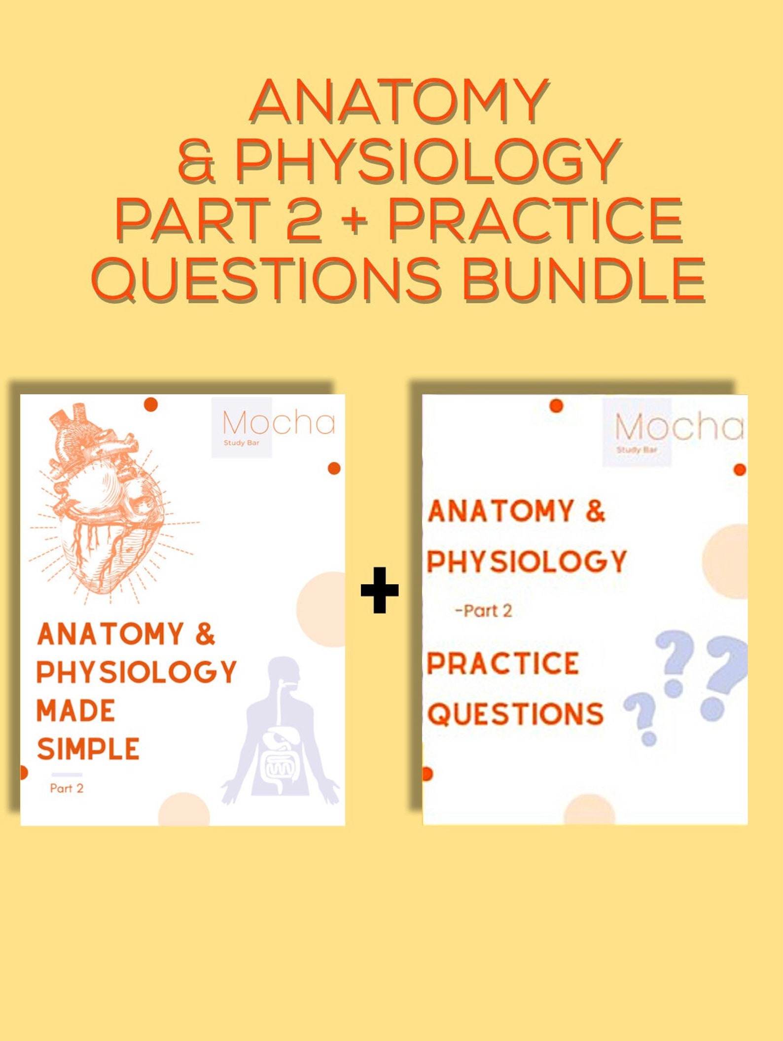 Bundle Anatomy & Physiology Part 2 Study Kit With Practice Questions ...