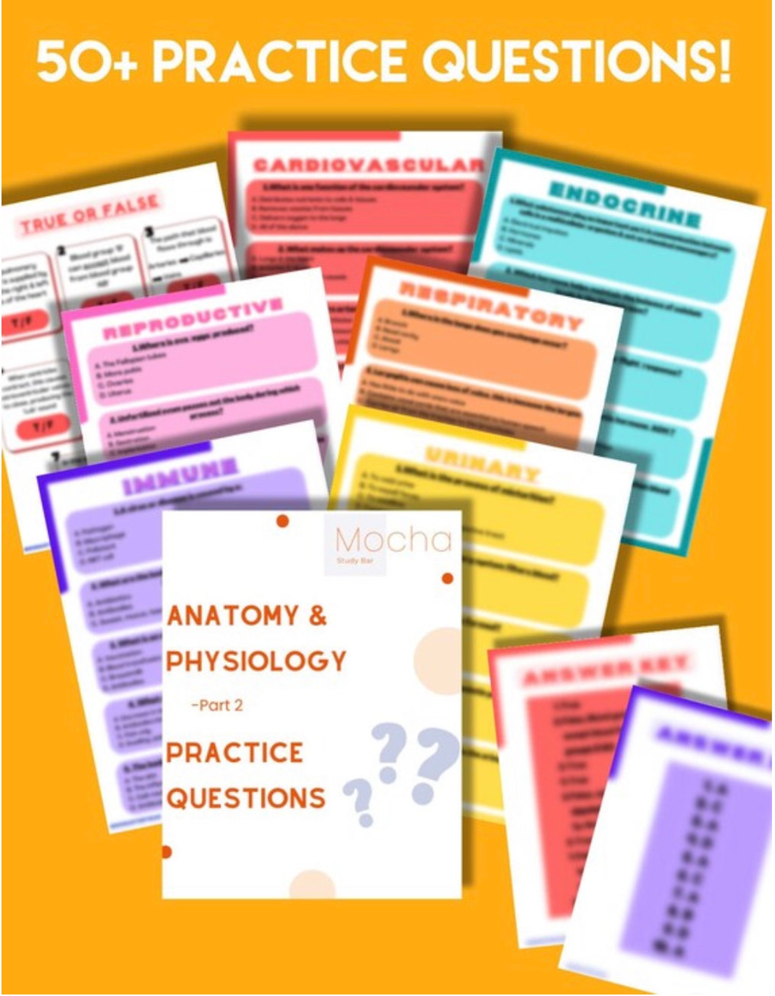 Bundle Anatomy & Physiology Part 2 Study Kit With Practice Questions ...