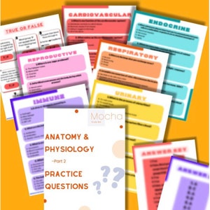 Bundle Anatomy & Physiology Part 2 Study Kit With Practice Questions ...