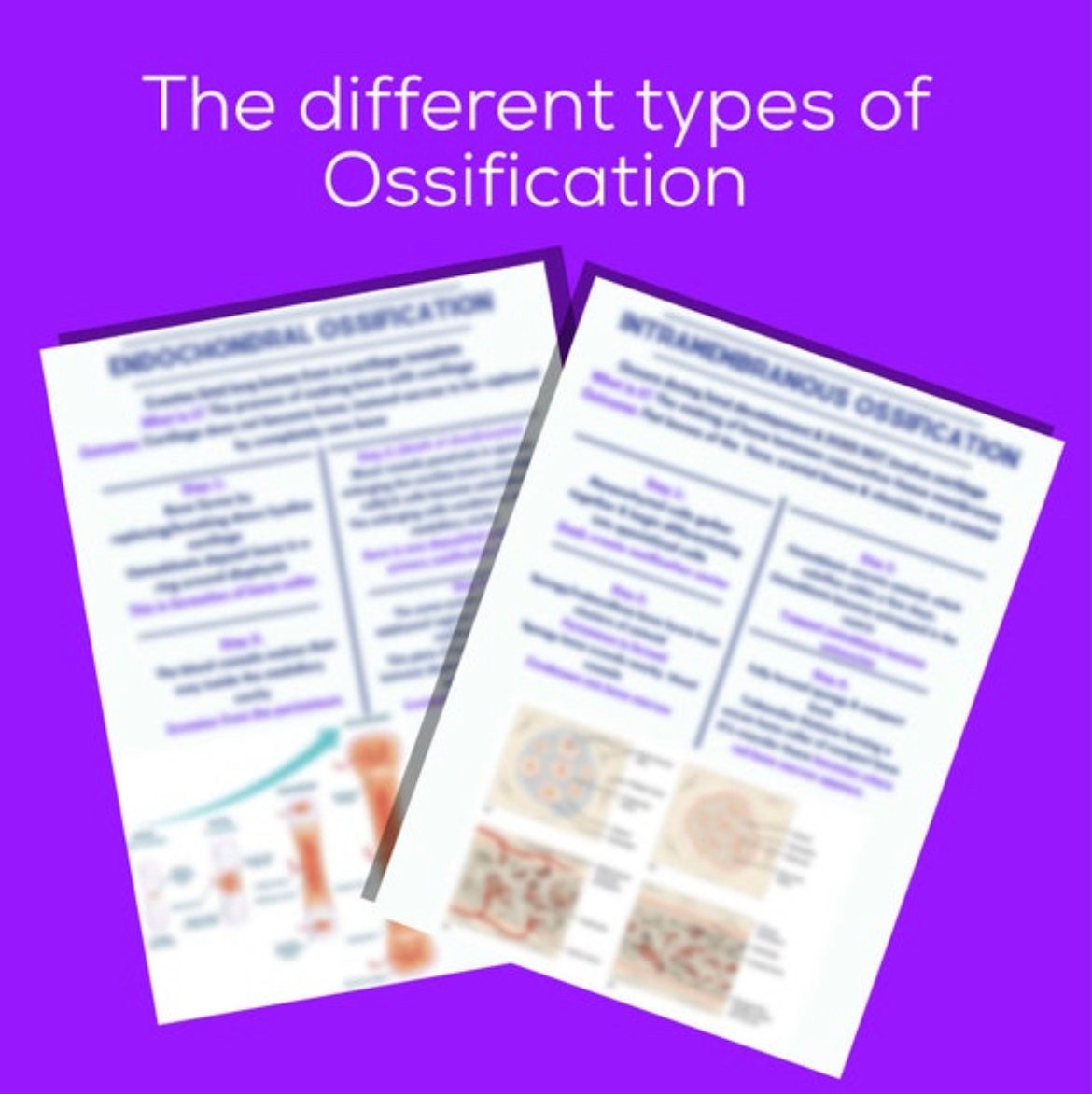 Bundle** Anatomy & Physiology Part 1 and 2 Bundle - Etsy