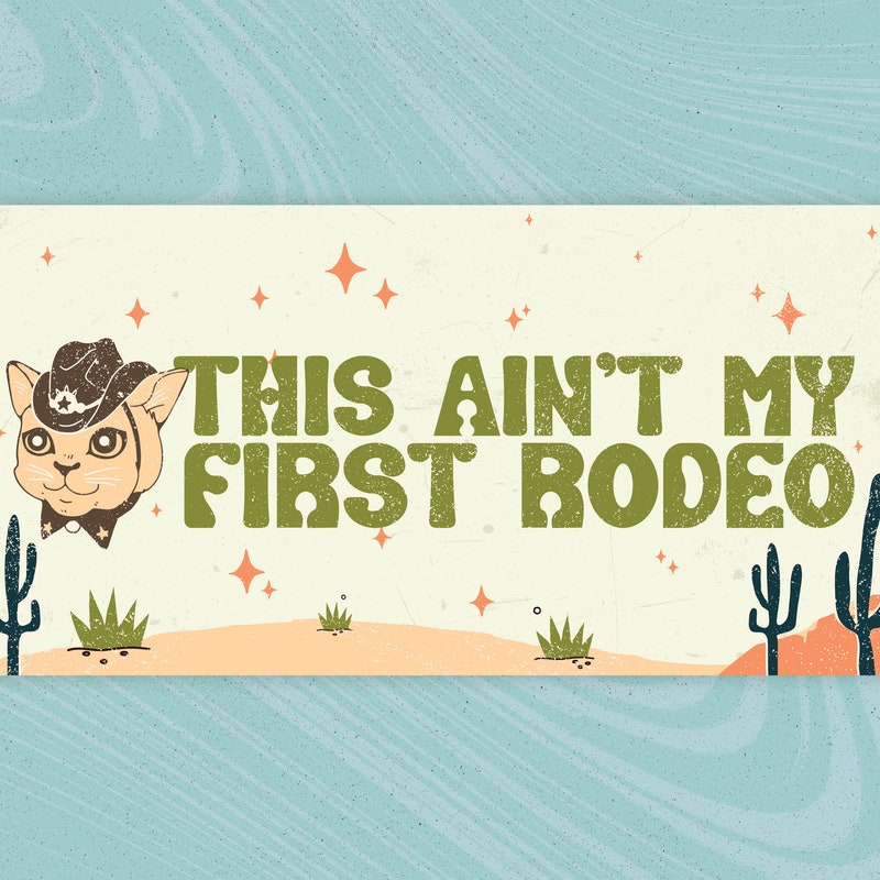 Cat Bumper Sticker - Etsy