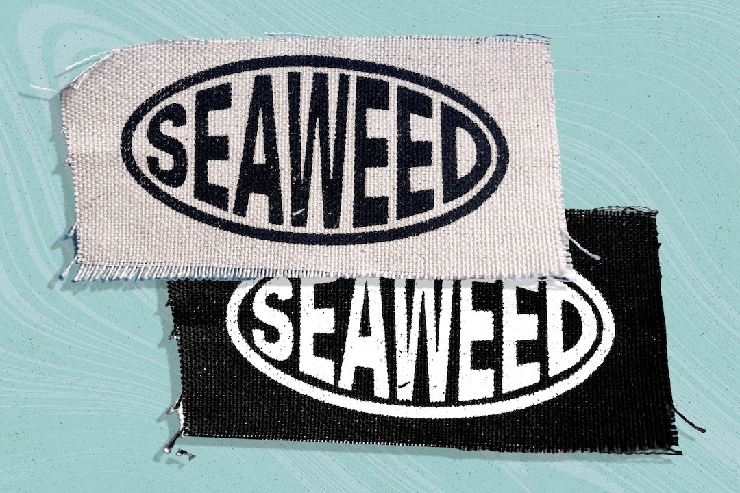 Seaweed Band Logo Screen Printed Canvas Patch 4 - Etsy