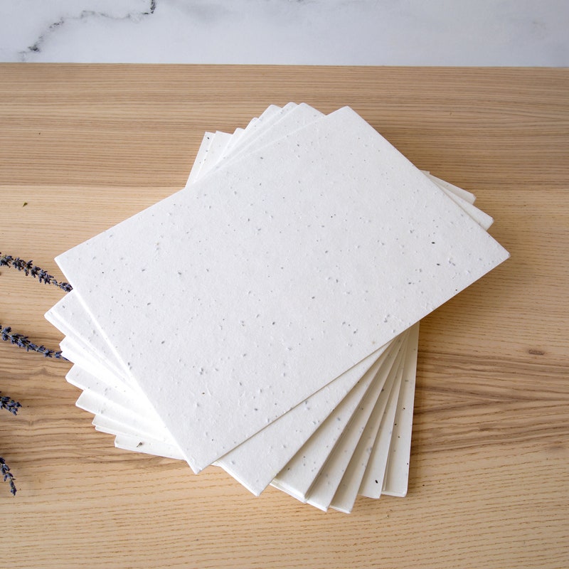 Seed Paper - Etsy