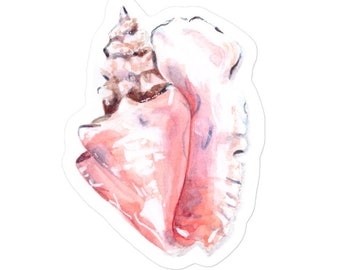 20 Seashell Decals Shell Stickers Shell Decal Seashell - Etsy