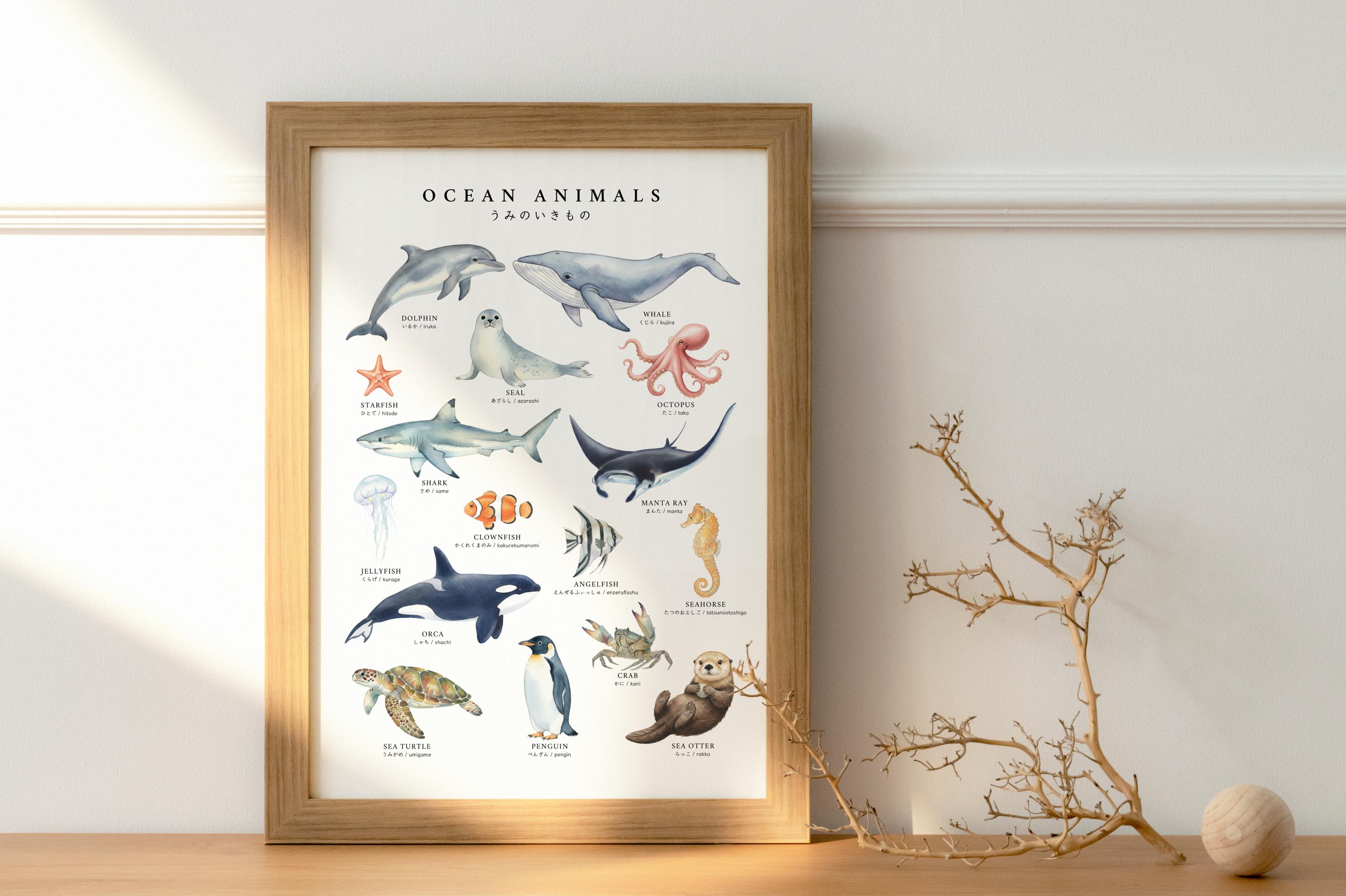 Japanese English Ocean Animals Poster | Sea Life Wall Art | Bilingual ...