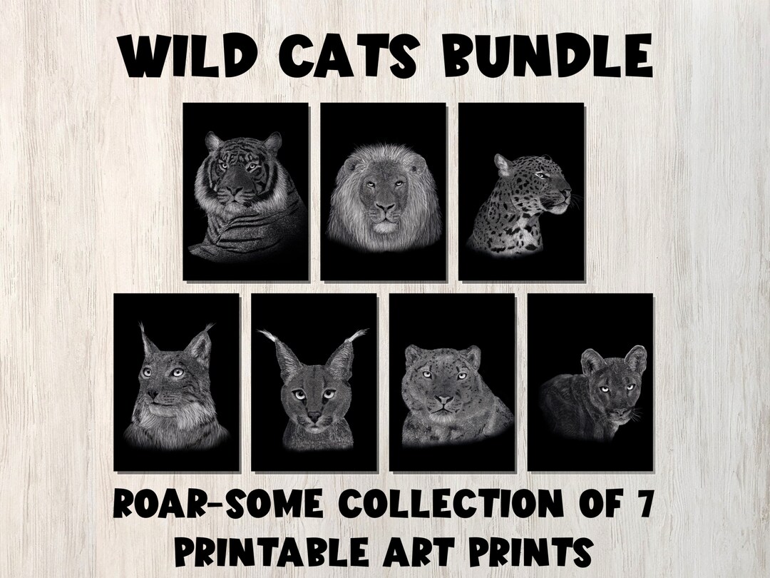 Wild Cats Art Bundle Digital Art Set Instant Download Black & White ...