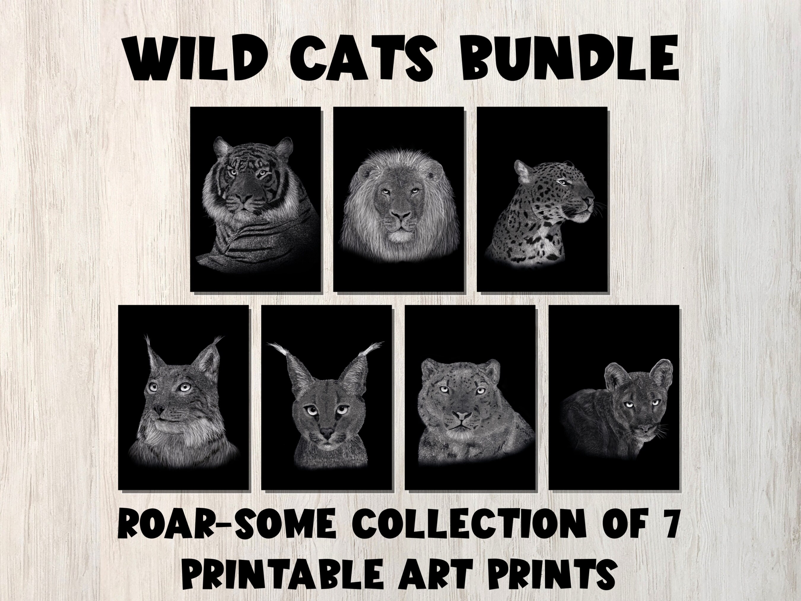 Wild Cats Art Bundle Digital Art Set Instant Download Black & White ...