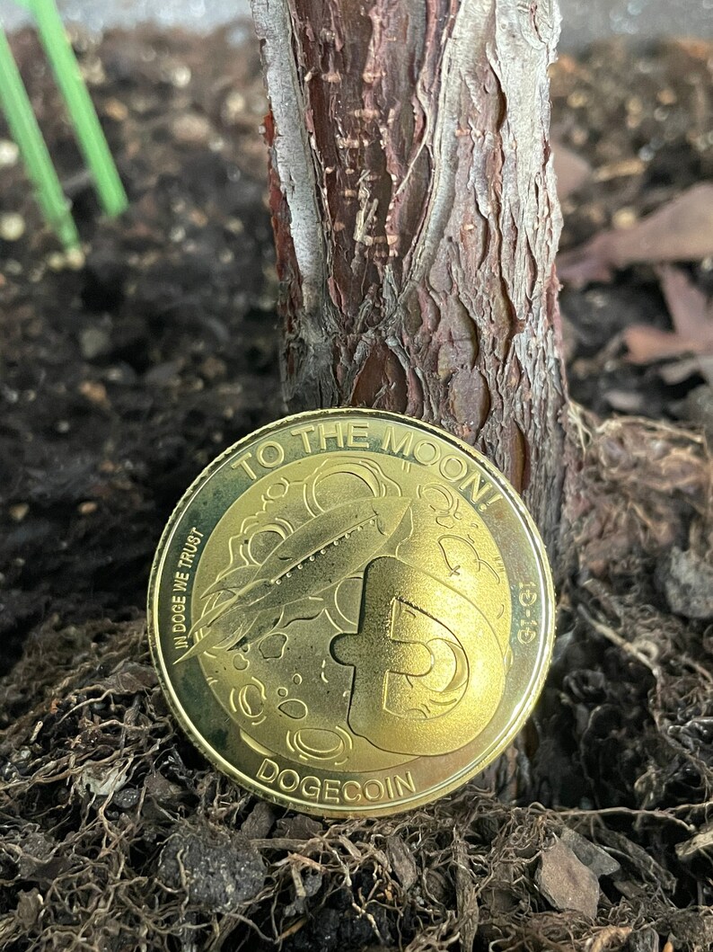 Dogecoin Physical Crypto Coin Gold Doge Collectible Gift to | Etsy