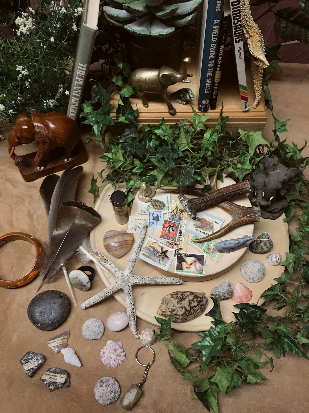 Mystery Curiosity Box- Nature/natural History - Etsy