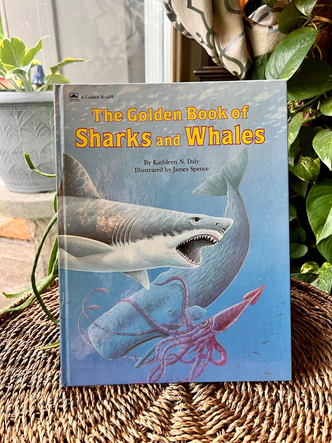 Golden Guide to Sharks and Whales - Etsy