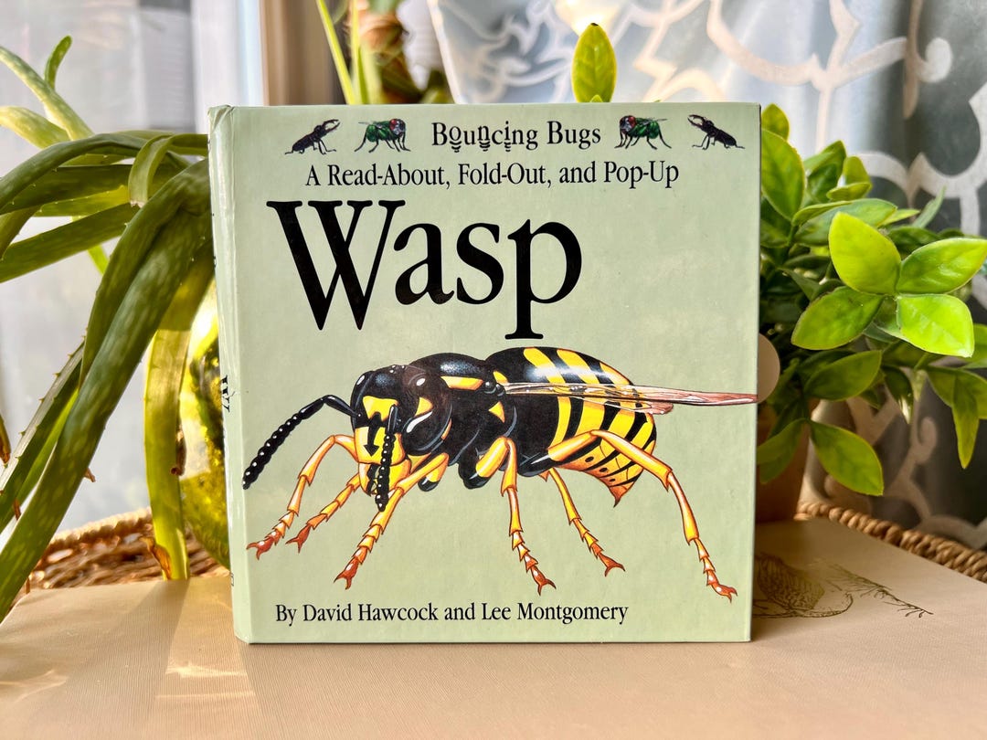 Bouncing Bugs Wasp Pop-up Book - Etsy
