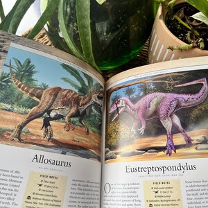 A Guide to Dinosaurs Book With Mini Dinos - Etsy